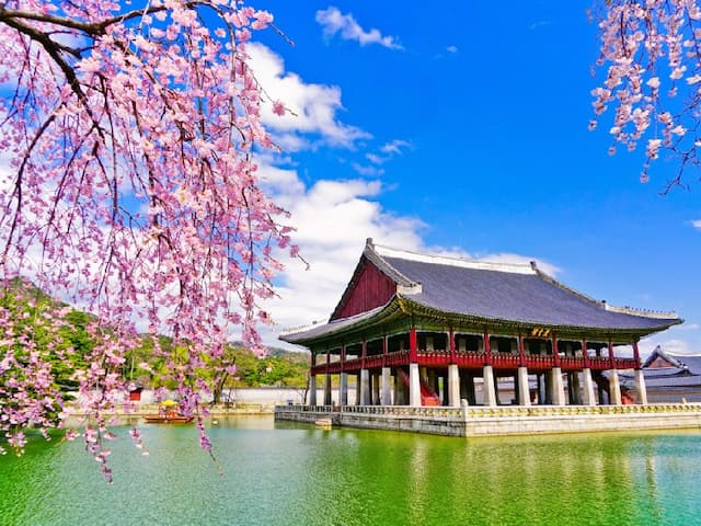 Best Time to Visit South Korea | South Korea Tourism & Travel Guide