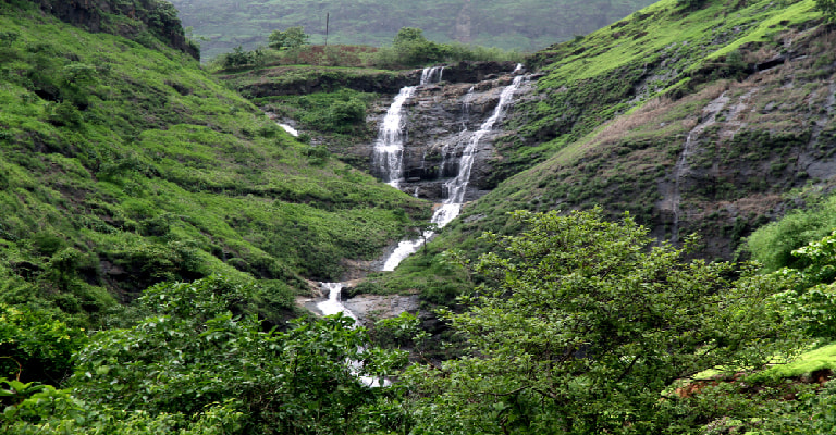 MP Jungle Safari 6 Nights 7 Days Holiday Tour Package | Flamingo Travels