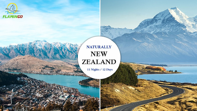 New Zealand Dreams 12 Nights 13 Days Group Tour Package from Ahmedabad ...