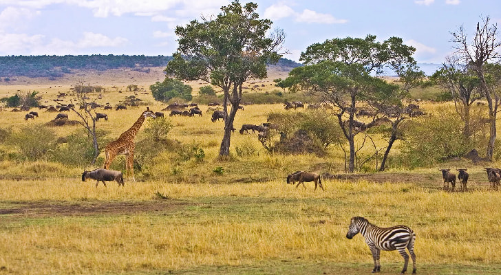 Kenyan Delight With Lake Naivasha 4 Nights 5 Days Holiday Tour Package ...