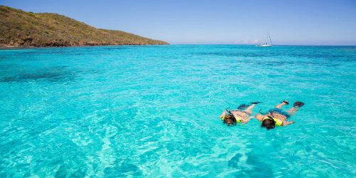 10 Best Dive and Snorkel Destinations - Flamingo Transworld