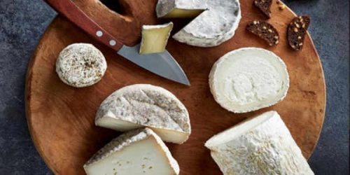 20 Best Cheeses in the World in 2024 | Flamingo Transworld