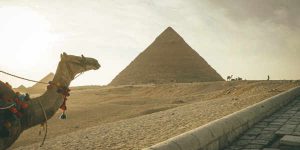 Take A Virtual Tour From Home To These 54 Famous Attractions! - Flamingo