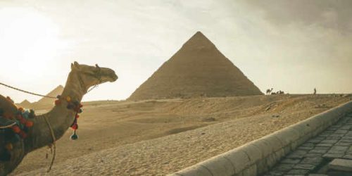 Take A Virtual Tour From Home To These 54 Famous Attractions! - Flamingo