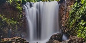 8 Famous Waterfalls In Goa To Explore - Flamingo Transworld