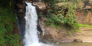 8 Famous Waterfalls In Goa To Explore - Flamingo Transworld