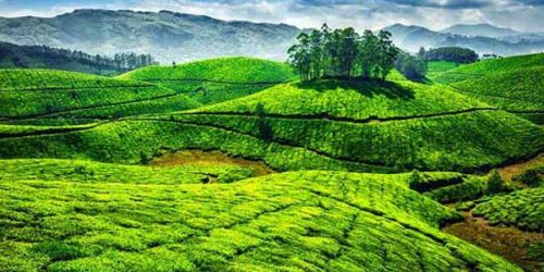 Best Time to Visit Kerala in 2025-26: A Seasonal Guide