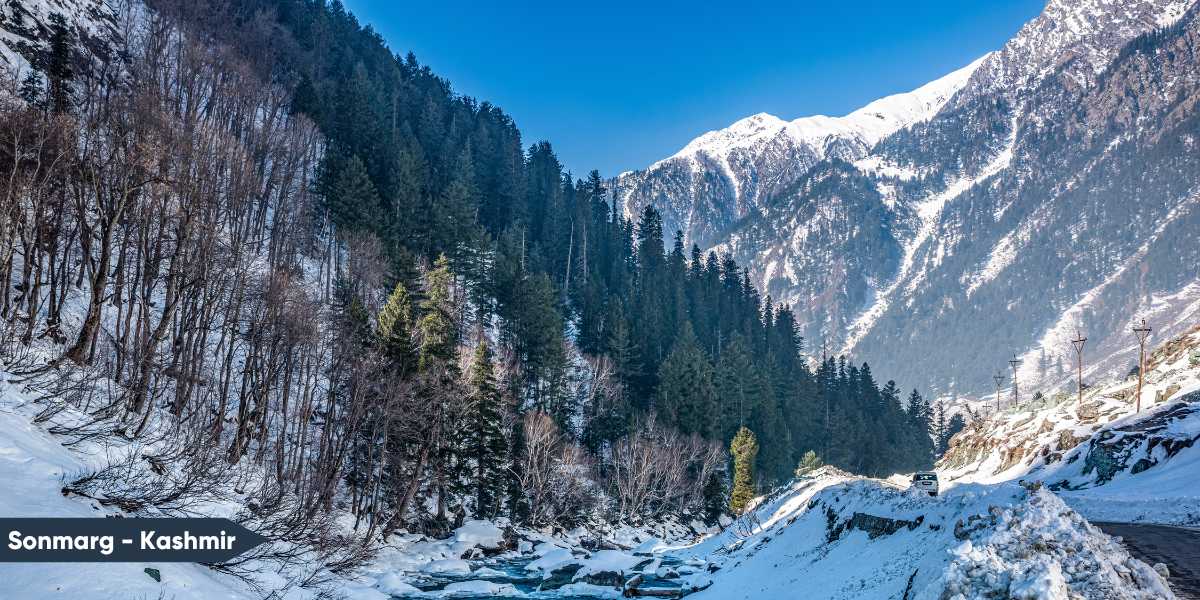 10 Best places to visit in September in India in 2025