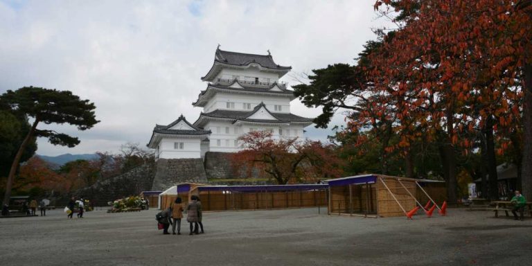 Japan in March 2026: Best Time to Visit from India | Sakura Guide